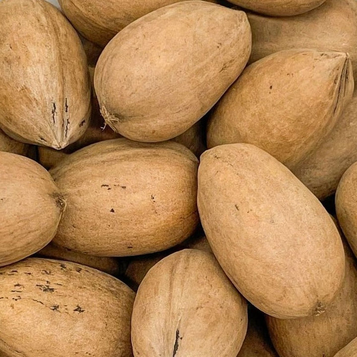 Inshell Pecans – ellisbrospecans