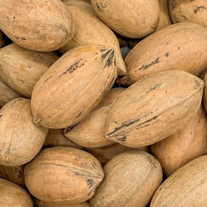 Pecans & Exotic Nuts - Ellis Bros. Pecans – ellisbrospecans